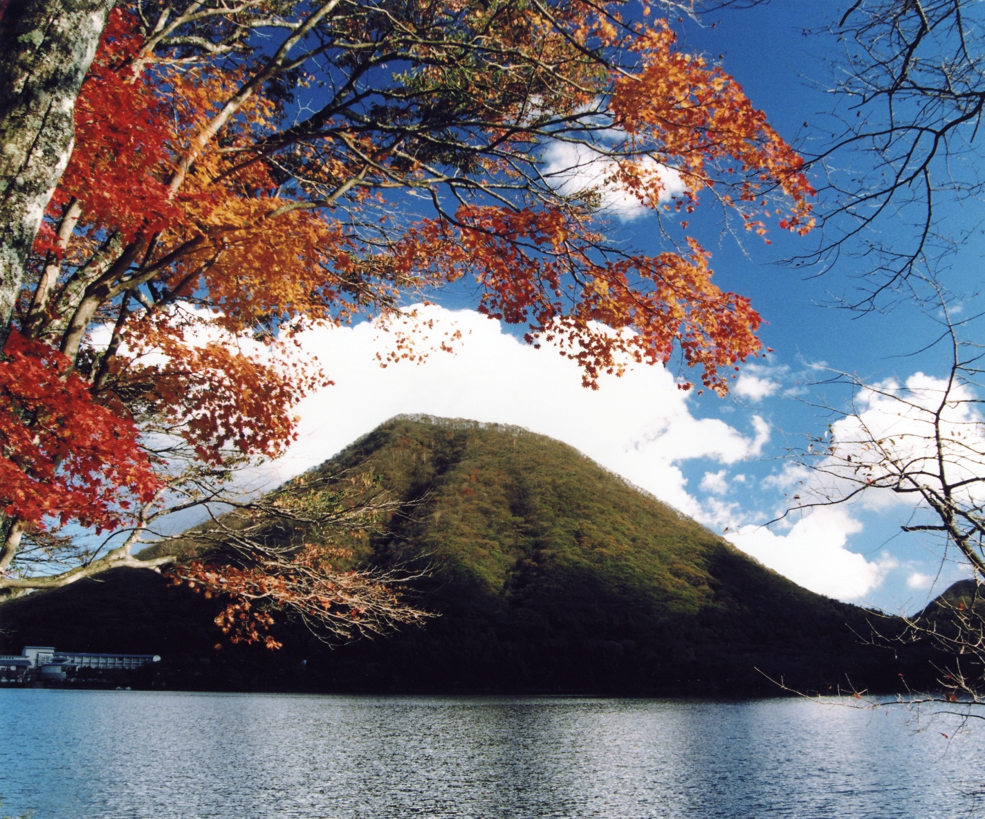 ＜北関東紅葉スポットめぐり＞栃木－群馬編 秋だけのプレミアムな絶景と温泉にうっとり…大人の1泊2日旅 | きたかんナビ